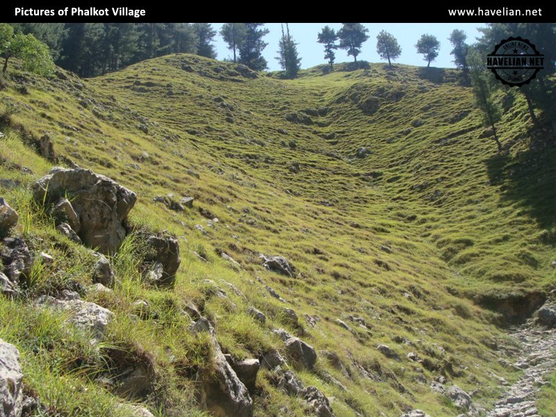 Beautiful Pictures of Phalkot Village