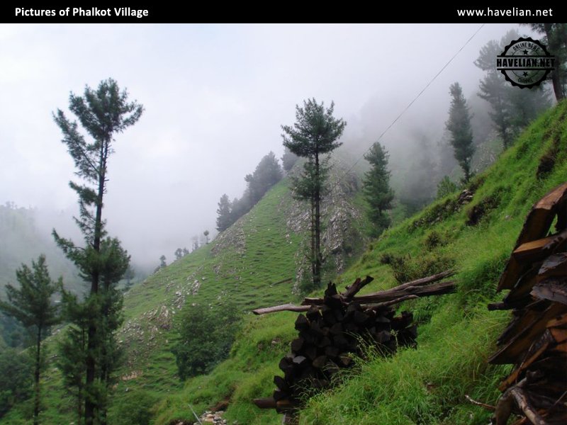Beautiful Pictures of Phalkot Village