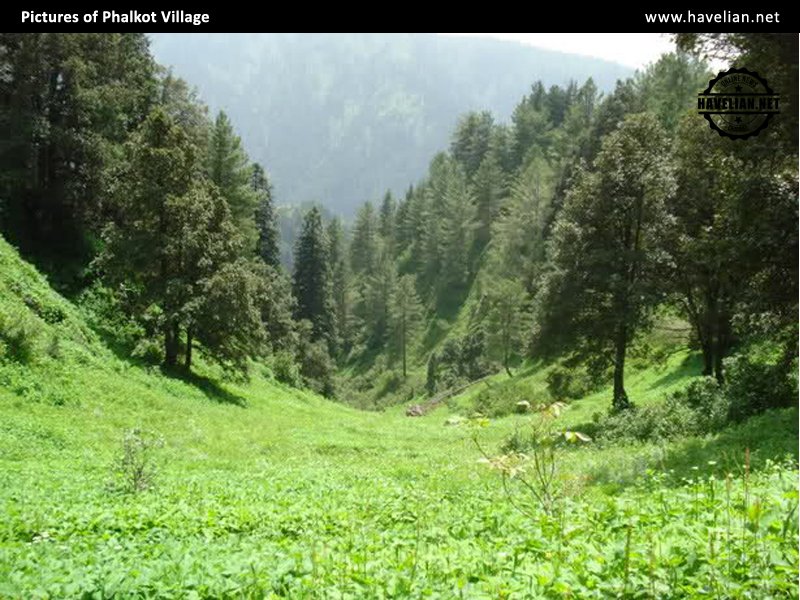 Beautiful Pictures of Phalkot Village